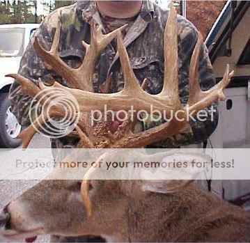 MONSTER NC buck.. Monster for ANY state! | Archery Talk Forum